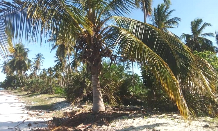 3 Days Pangani Beach | Kwamongo Peak Expedition Eco Tours & Safaris