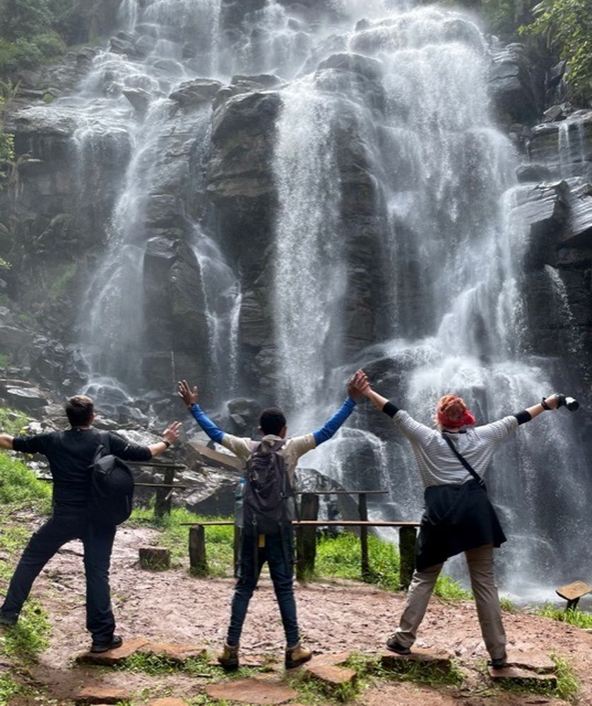 Magamba Rain Forest and Kisasa Waterfall (6-7 hours, 18 km) | Kwamongo ...