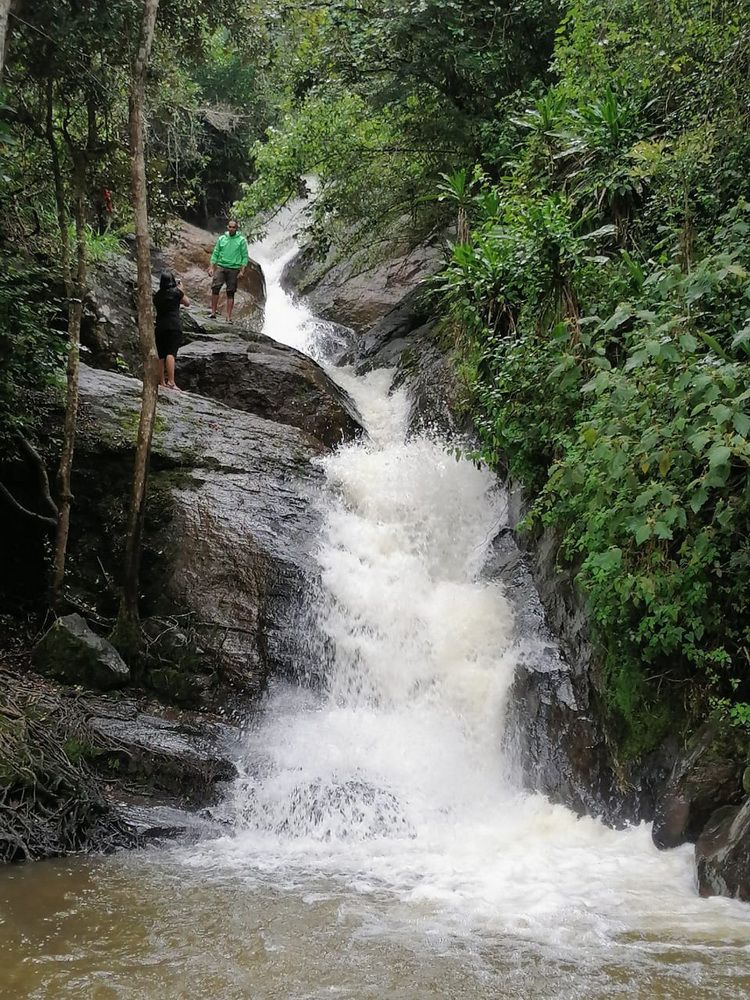 Mkuzi Waterfall (4-5 hours) | Kwamongo Peak Expedition Eco Tours & Safaris
