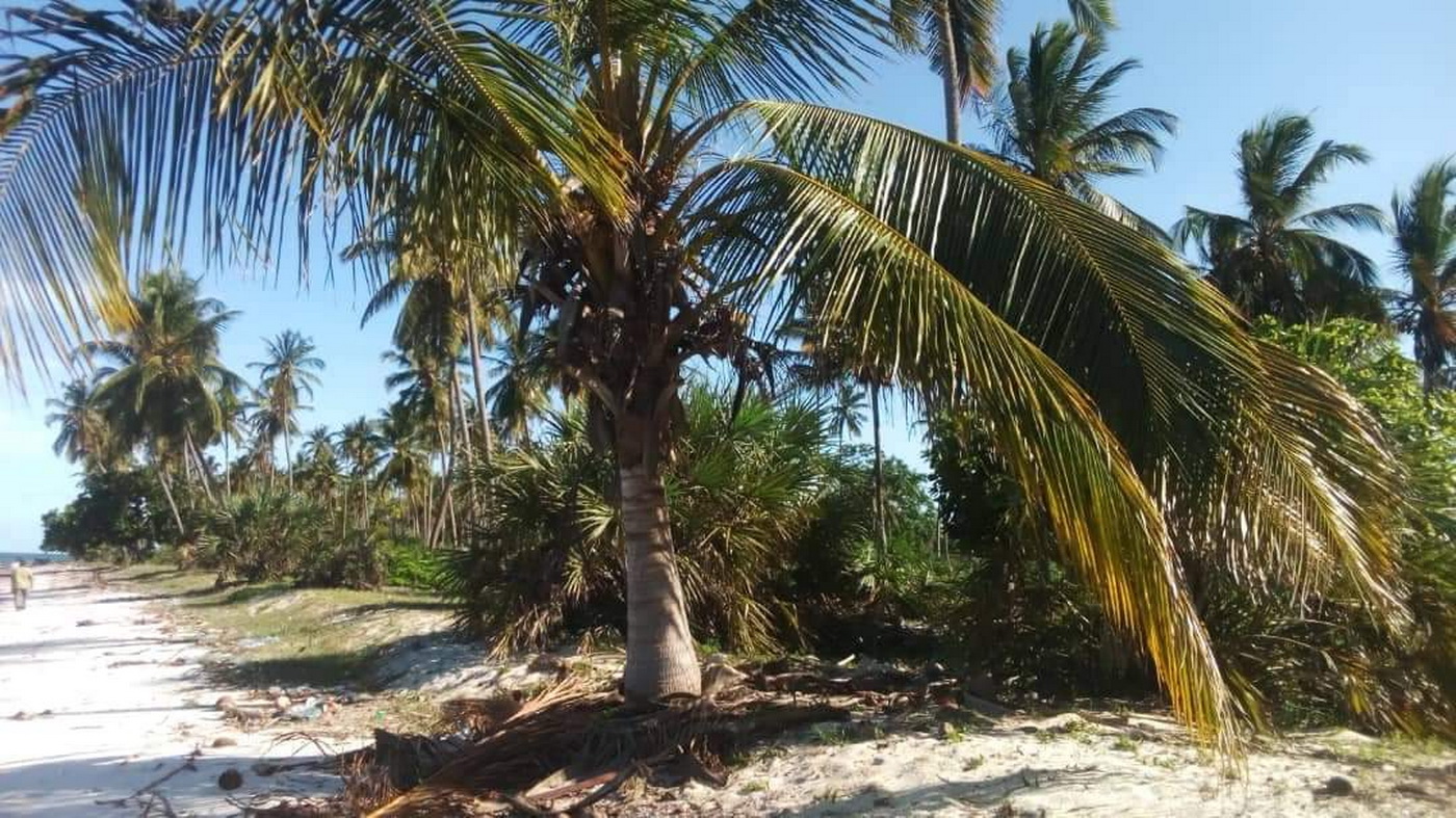 3 Days Pangani Beach | Kwamongo Peak Expedition Eco Tours & Safaris